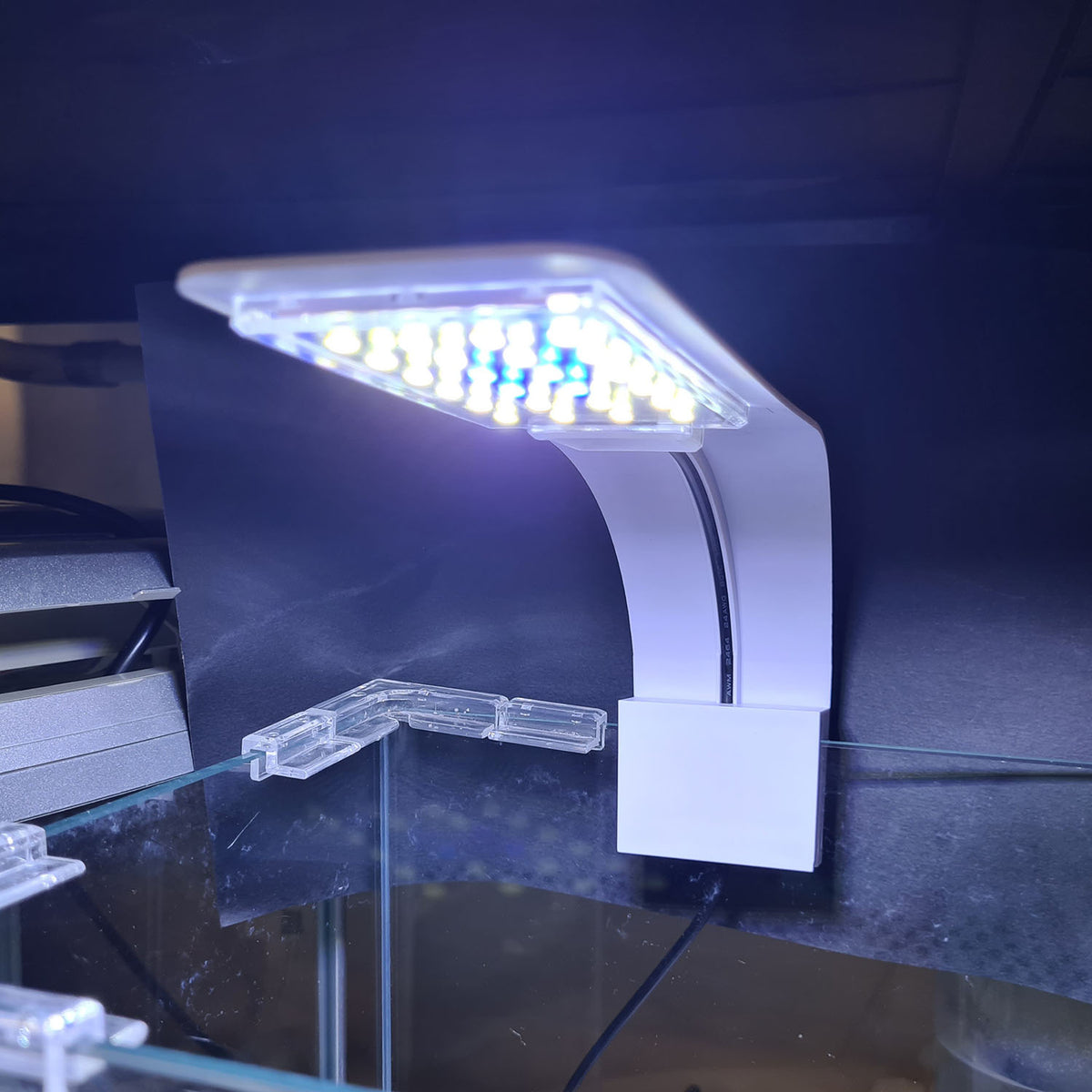 Lights – Sydney Aquascapes