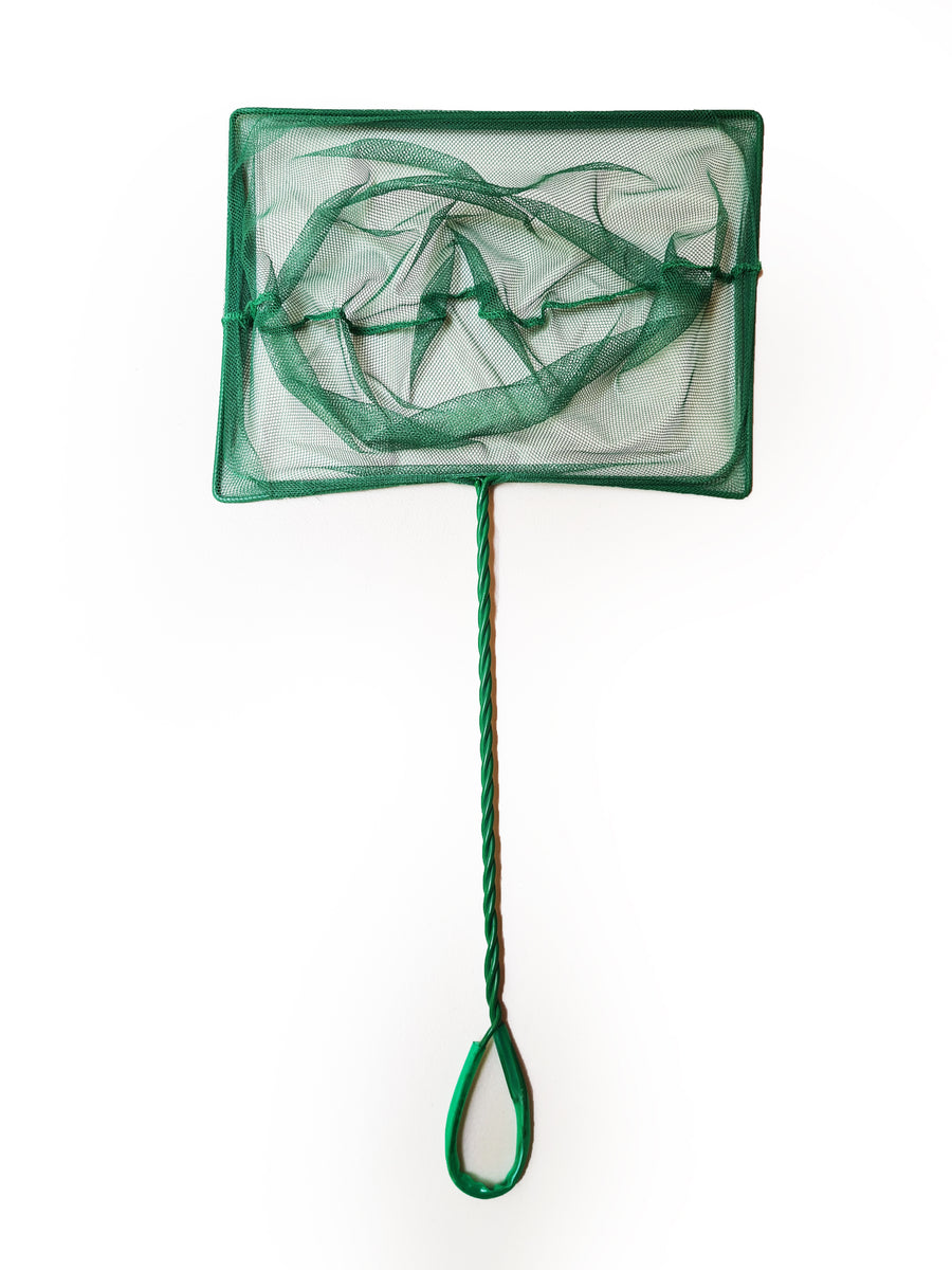 Giant Fish Net – Sydney Aquascapes