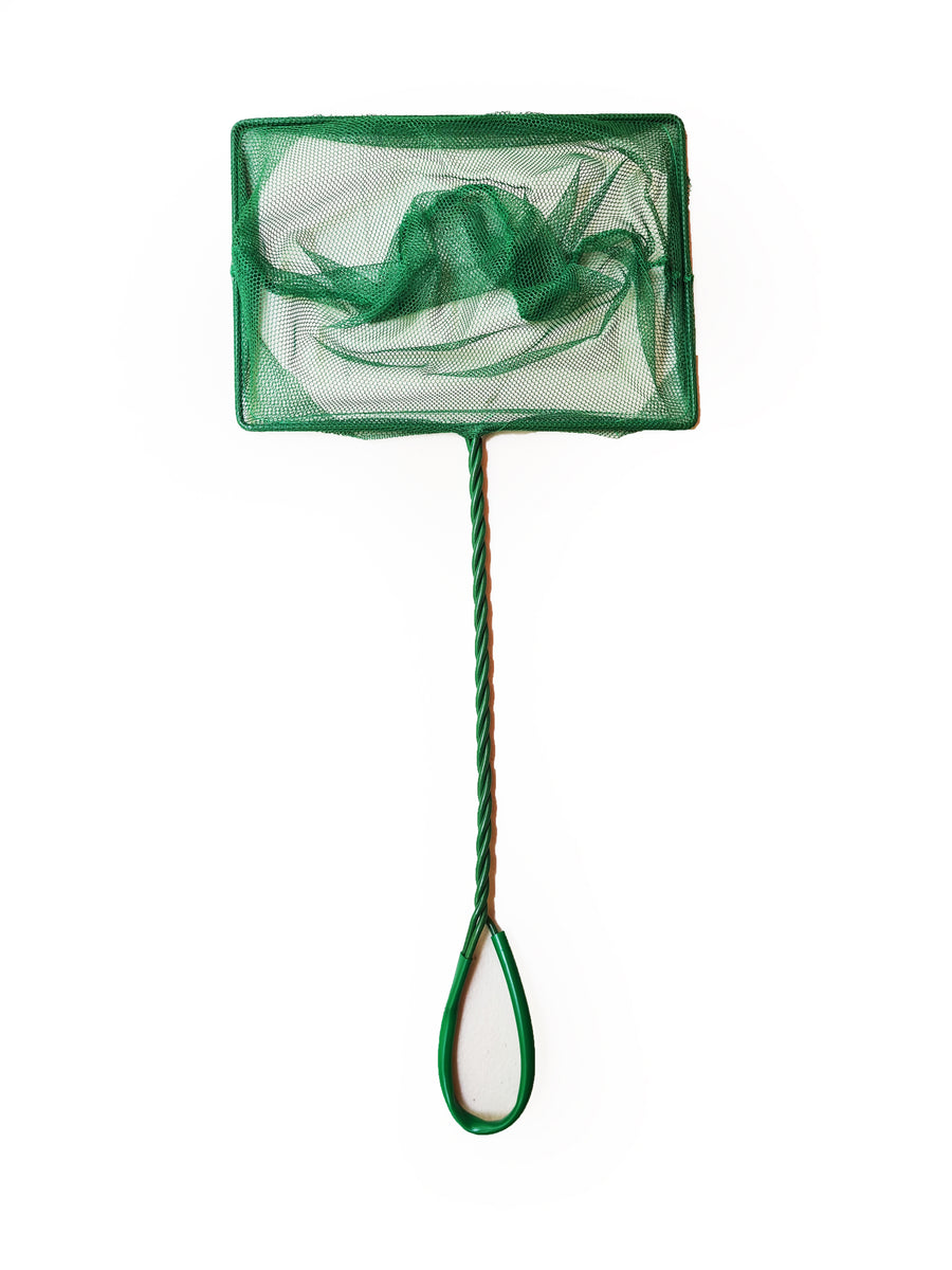 Green Fish Net 8 Inch – Sydney Aquascapes