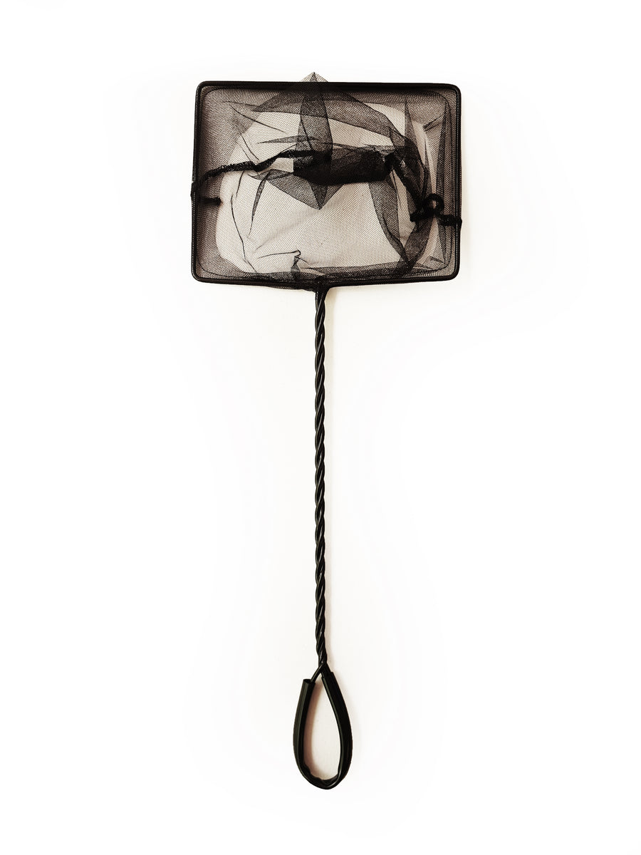 Black Fish Net 8 Inch – Sydney Aquascapes