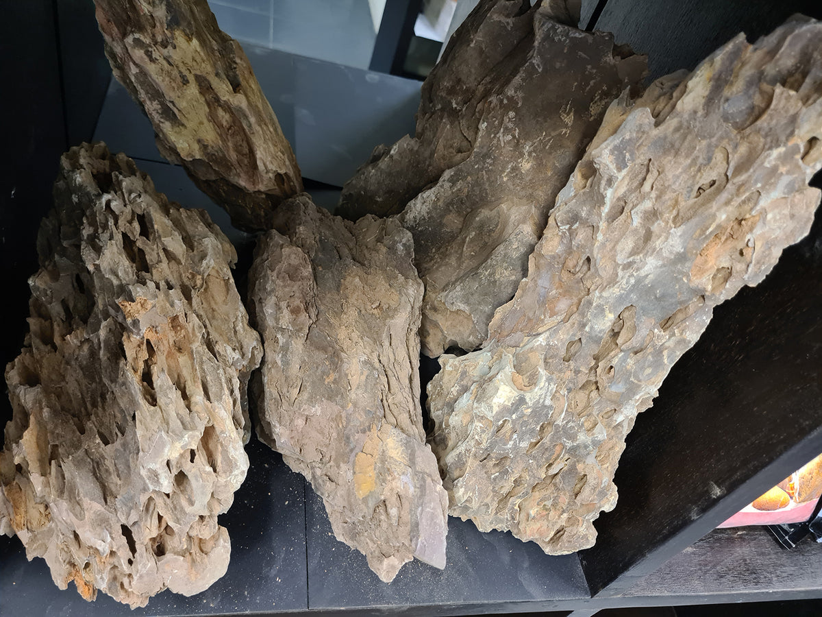 Pine Rock Large – Sydney Aquascapes