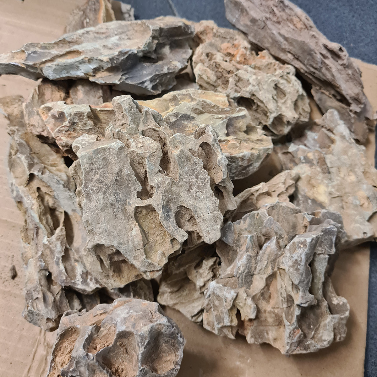 Pine Rock Small – Sydney Aquascapes