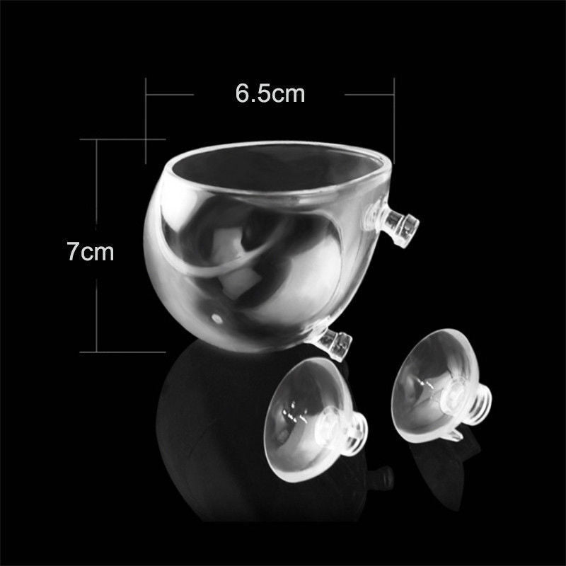 Hanging Glass Pot – Sydney Aquascapes